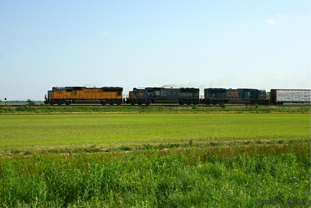 Northbound UP Manifest Train